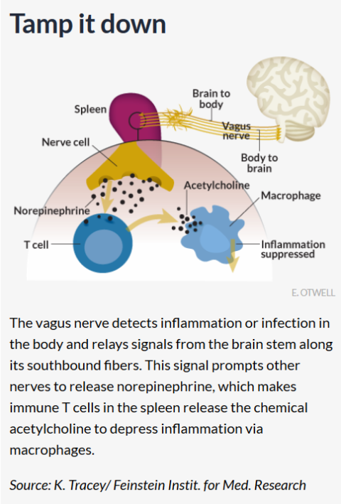 The CES Ultra and the Ear - Part 2 | CES Ultra
